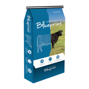 Blueprint® Seedstock Developer 14 - Blueprint Animal Nutrition