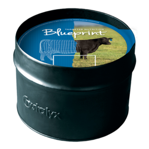 CRYSTALYX Blueprint® 6% Phos Mineral - Blueprint Animal Nutrition