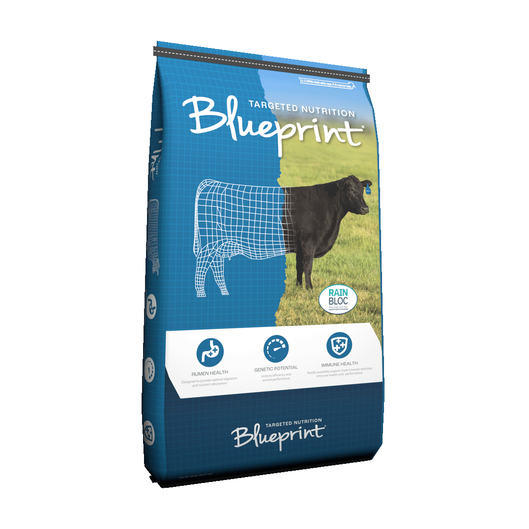 Rainbloc: Weatherized Mineral Technology for Every Season - Blueprint ...